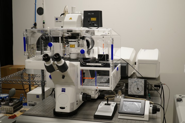 ZEISS LSM880 Airyscan confocal microscope | Okinawa Institute of Science and Technology OIST